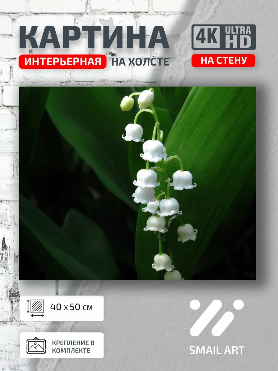 Картина на холсте интерьерная 40 на 50 на стену Белы Mood для гостиной атмосфера интерьер