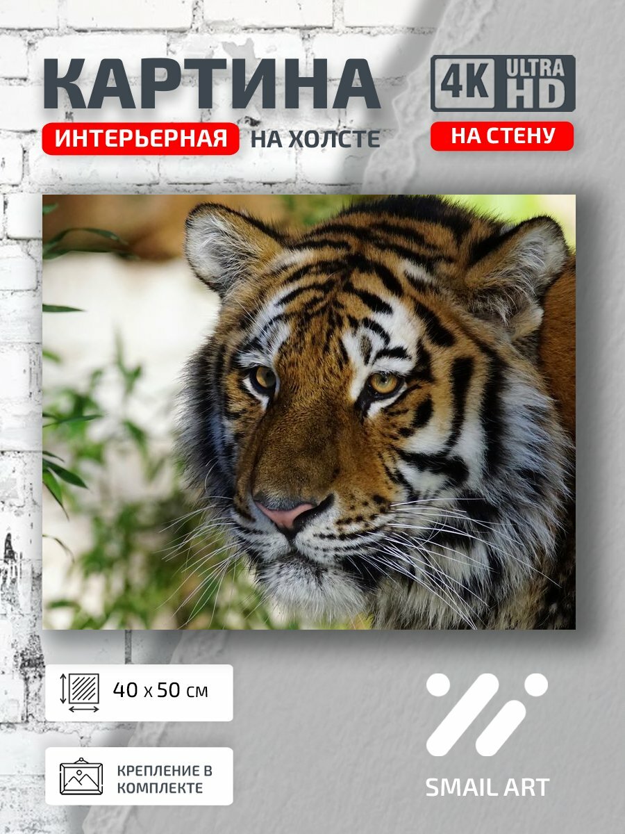 Картина на холсте интерьерная 40 на 50 на стену Полосатый Animal для спальни animal style