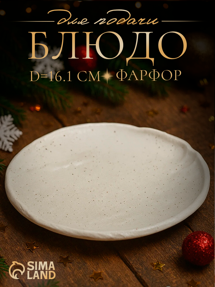 Тарелка обеденная для подачи и сервировки Magistro Slate, d=16,1 см, цвет белый