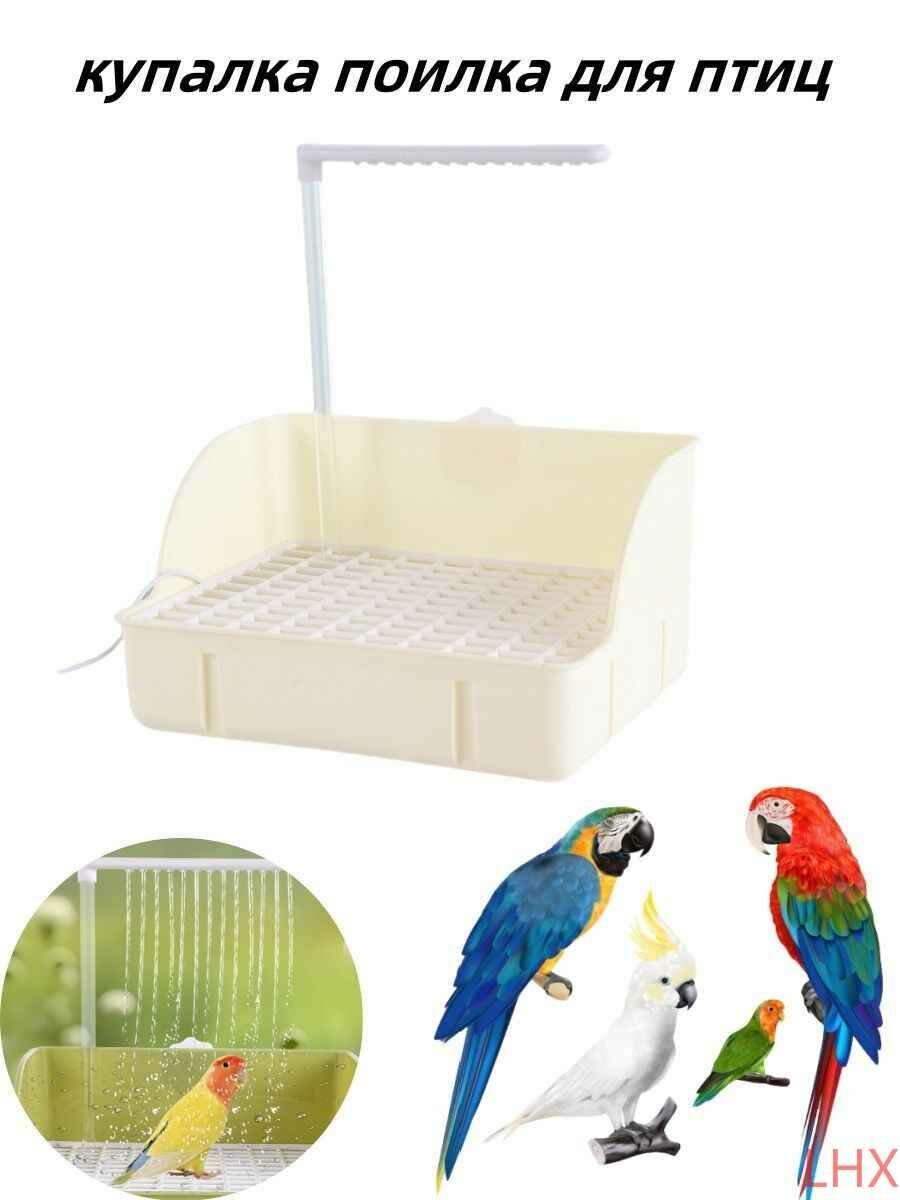 Большая ванна Parrot с фонтаном