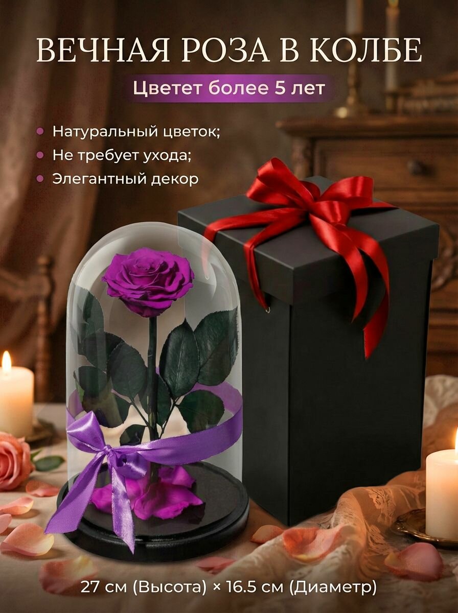 Стабилизированные цветы в стекле, Роза в колбе живая Премиум фиолетовая 27x16,5 см c подарочной коробкой, GIFT4YOU