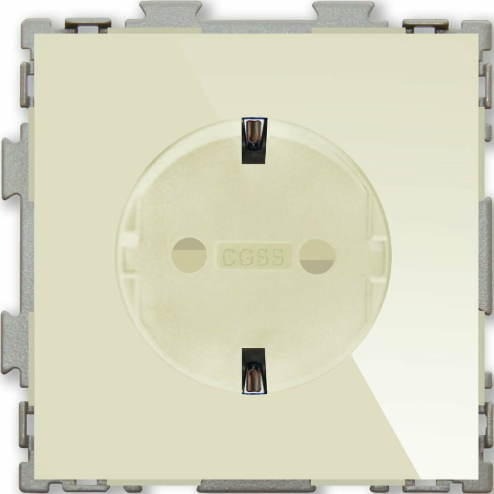 Электрическая розетка CGSS Практика