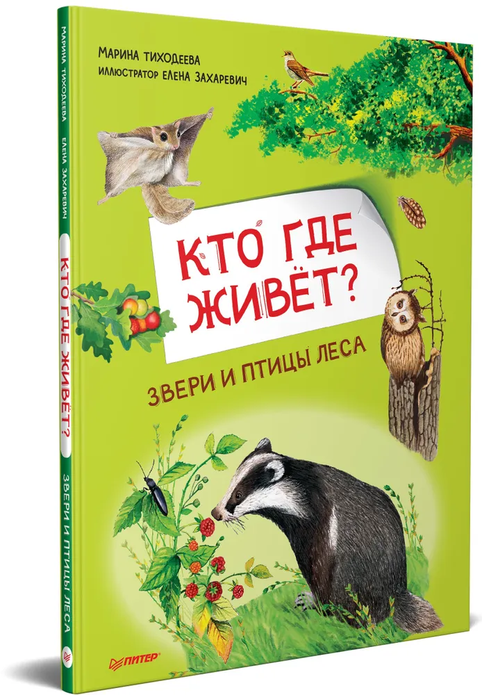 Кто где живёт? Звери и птицы леса