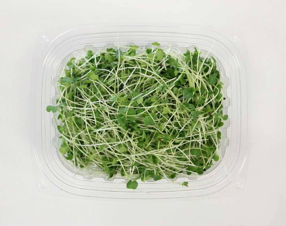 Микро брокколи (50 грамм)