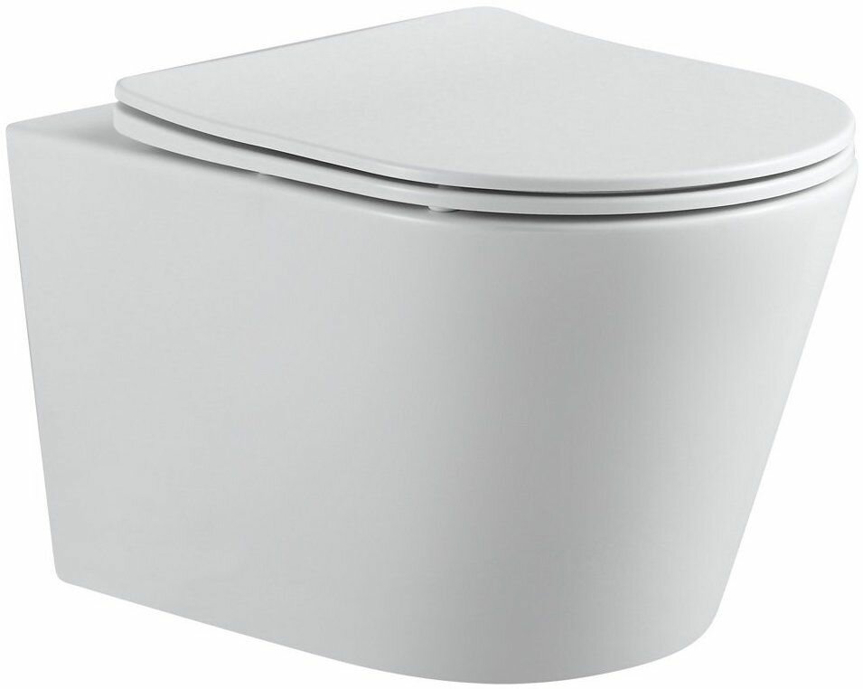 Унитаз Aquanet Atago 2.0 W 243549 подвесной безободковый с микролифтом