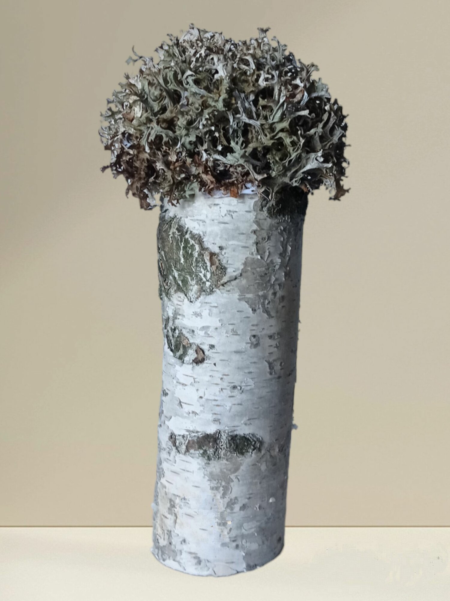 Исландская цетрария. Топиарий в экостиле