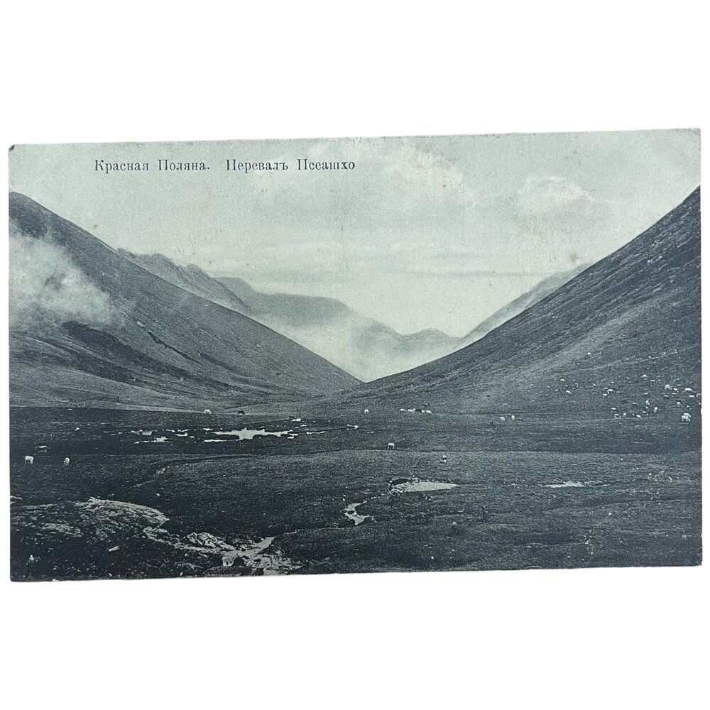 Почтовая открытка "Красная Поляна. Перевал Псеашхо" 1900-1917 гг. Российская Империя (Лот № 2)