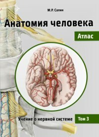 Сапин М. Р. "Анатомия человека. Атлас. В III томах. Том III. Учение о нервной системе. 2-е издание, переработанное"