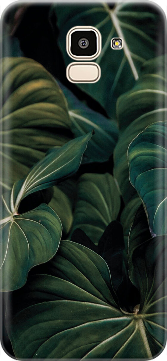Силиконовый чехол Листья филодендрона на Samsung Galaxy J6 (2018) / Самсунг Джей 6 (2018)