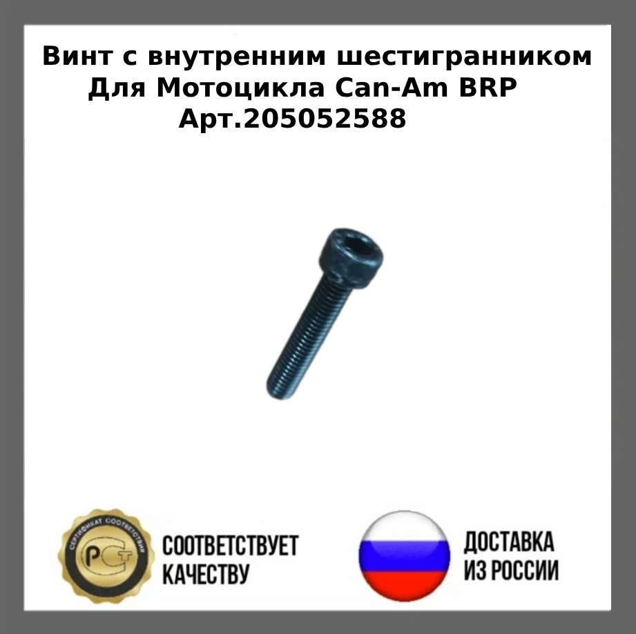 Винт с внутренним шестигранником для Мотоцикла Can-Am BRP 205052588