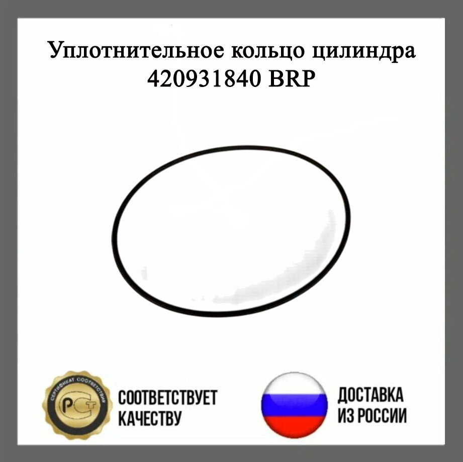 Уплотнительное кольцо цилиндра 420931840 BRP