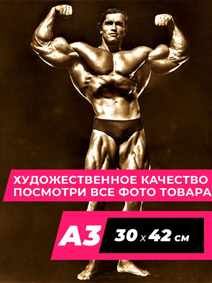 Постер Шварценеггер Арнольд на стену 18 A3, матовая фотобумага премиум качества