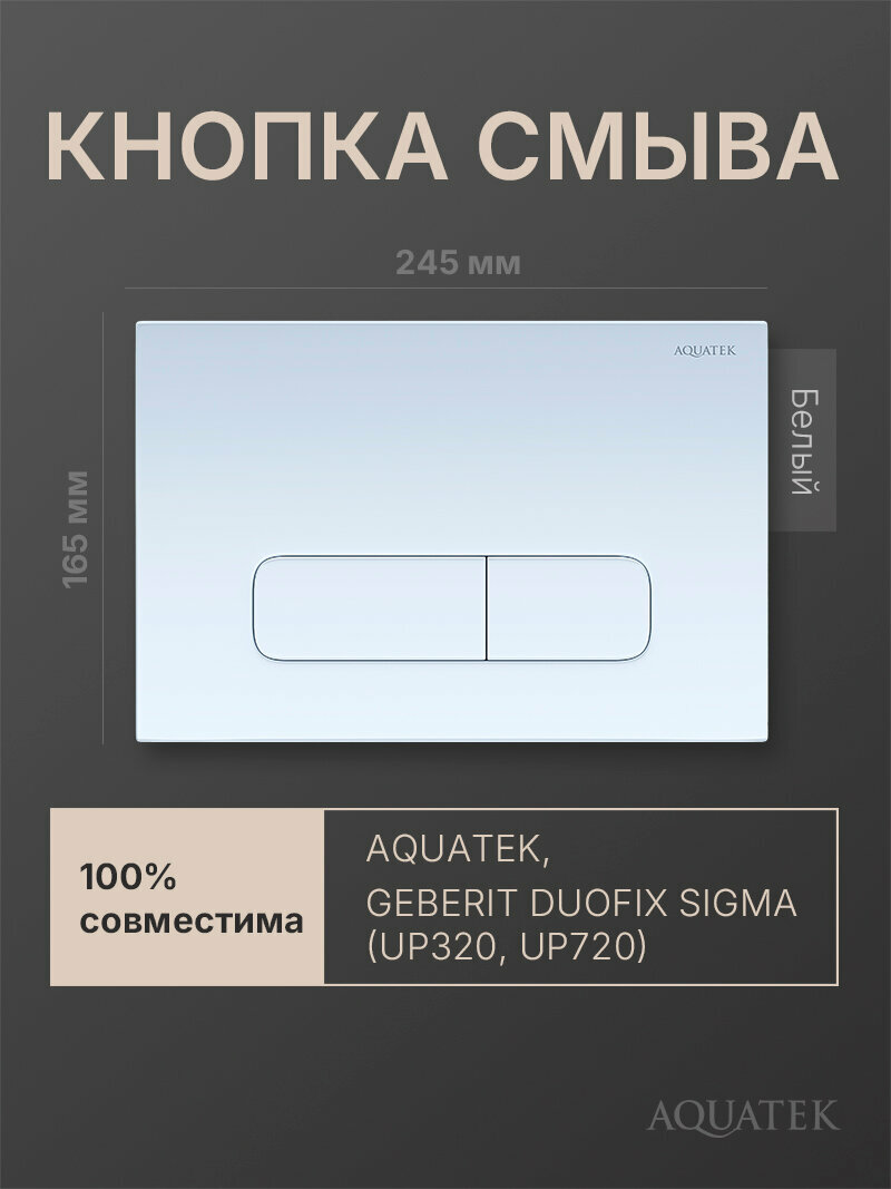 Кнопка смыва Aquatek KDI-0000013, для инсталляции, механическая, 2 клавиши, белая