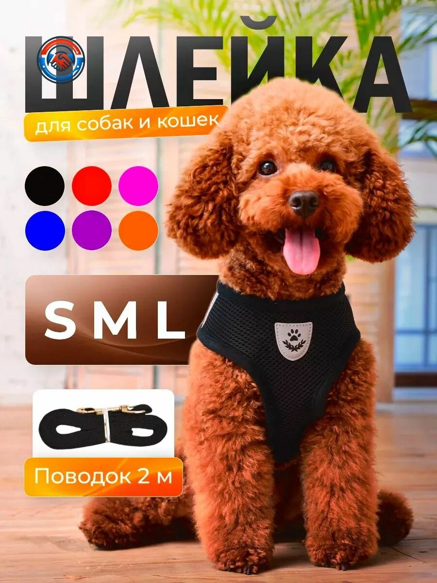 Анатомическая шлейка жилет для кошек и собак малых пород, комфортная прогулочная упряжка с светоотражающими вставками, безопасная альтернатива ошейнику для чихуахуа, йорка, таксы, мопса и шпица