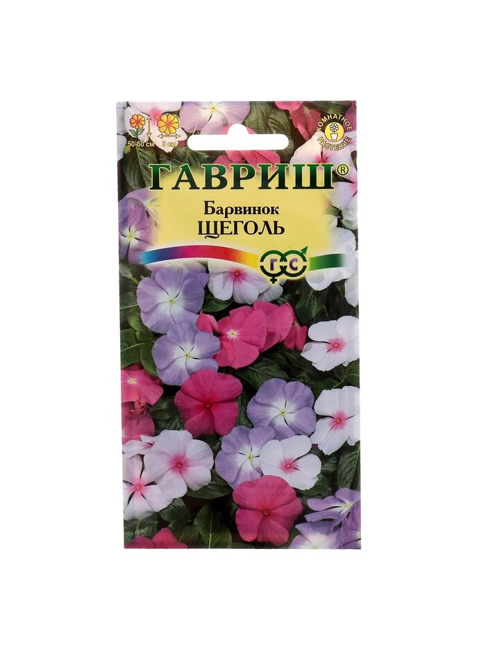 Набор семян комнатных Барвинок "Щеголь", 5 шт.