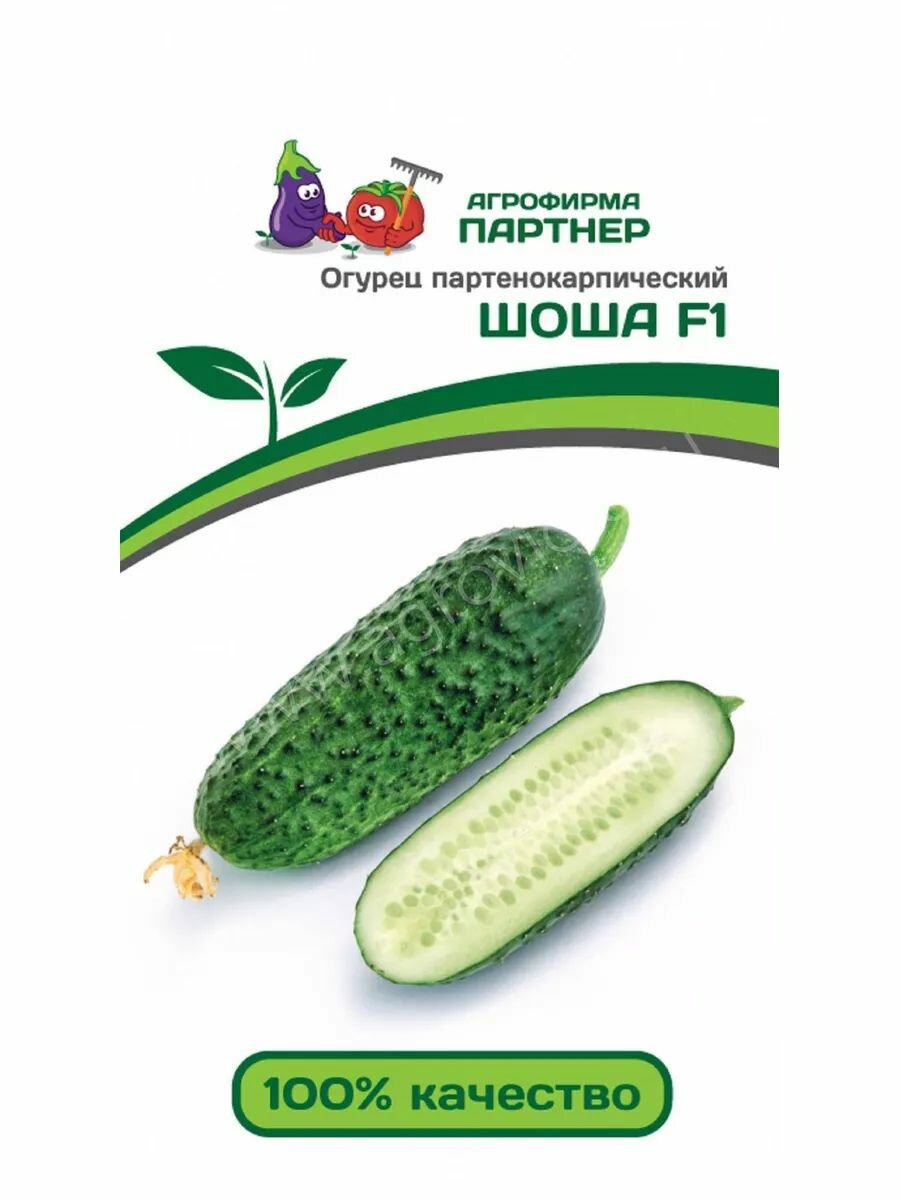 Огурец шоша F1 цв. п 5 семян 2-ной пак Партнер