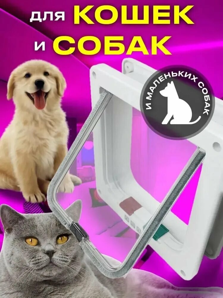 GEALFIS Дверца для кошек и собак с 4-сторонним магнитным замком, лаз 18x19 см, устанавливается в дверь, регулируемый доступ (вход/выход/закрыто)