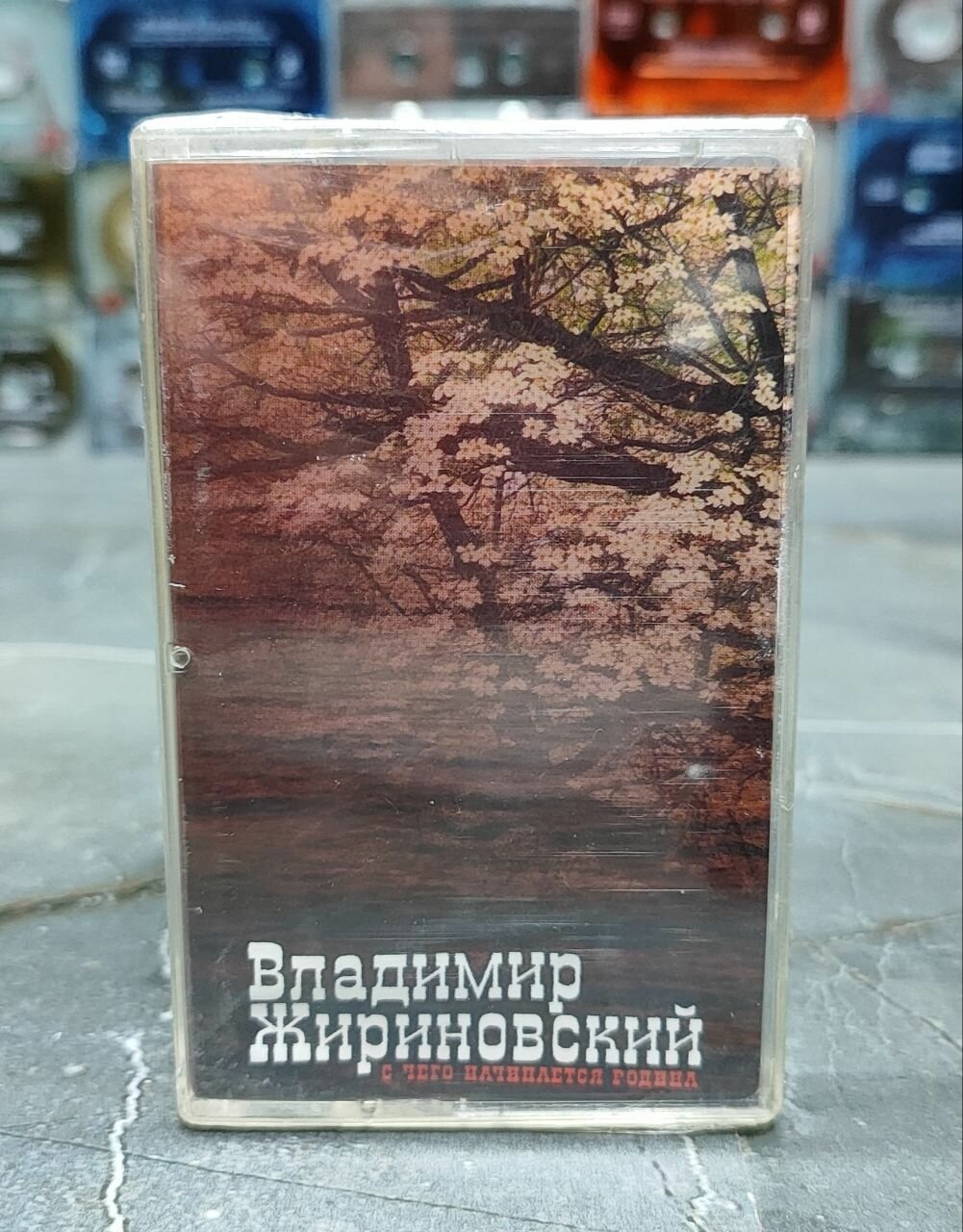 Владимир Жириновский- С чего начинается Родина, кассета, аудиокассета (МС), 2005