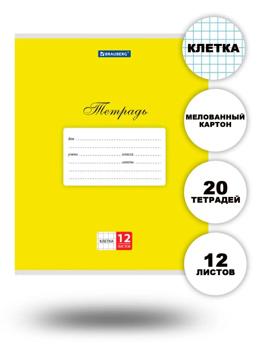 Тетрадь школьная BRAUBERG, в клетку, 12 листов, формат A5, 20 штук
