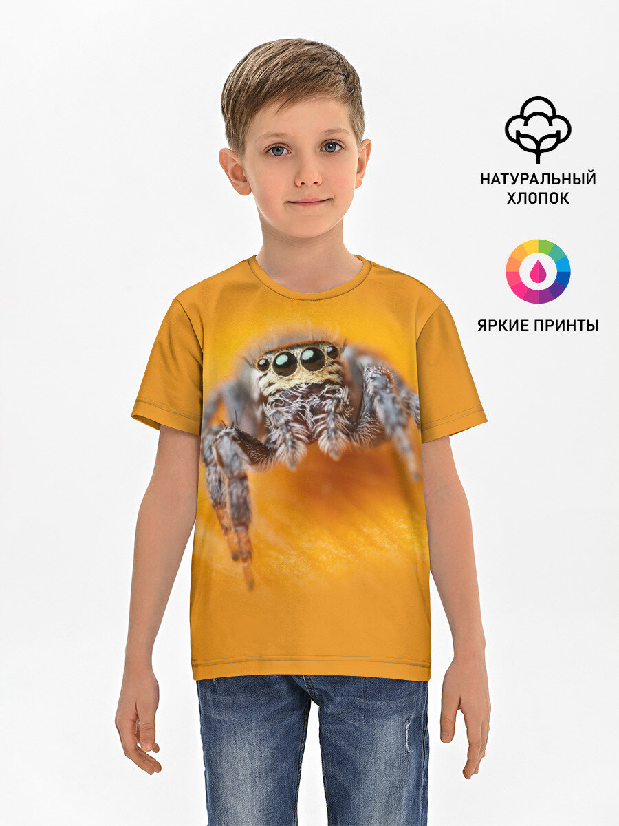 Футболка хлопковая детская ПАУК / SPIDER