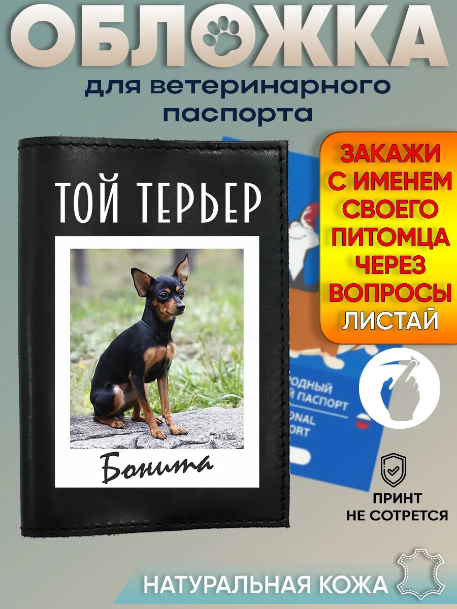 Обложка RenBel