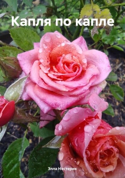 Капля по капле [Цифровая книга]