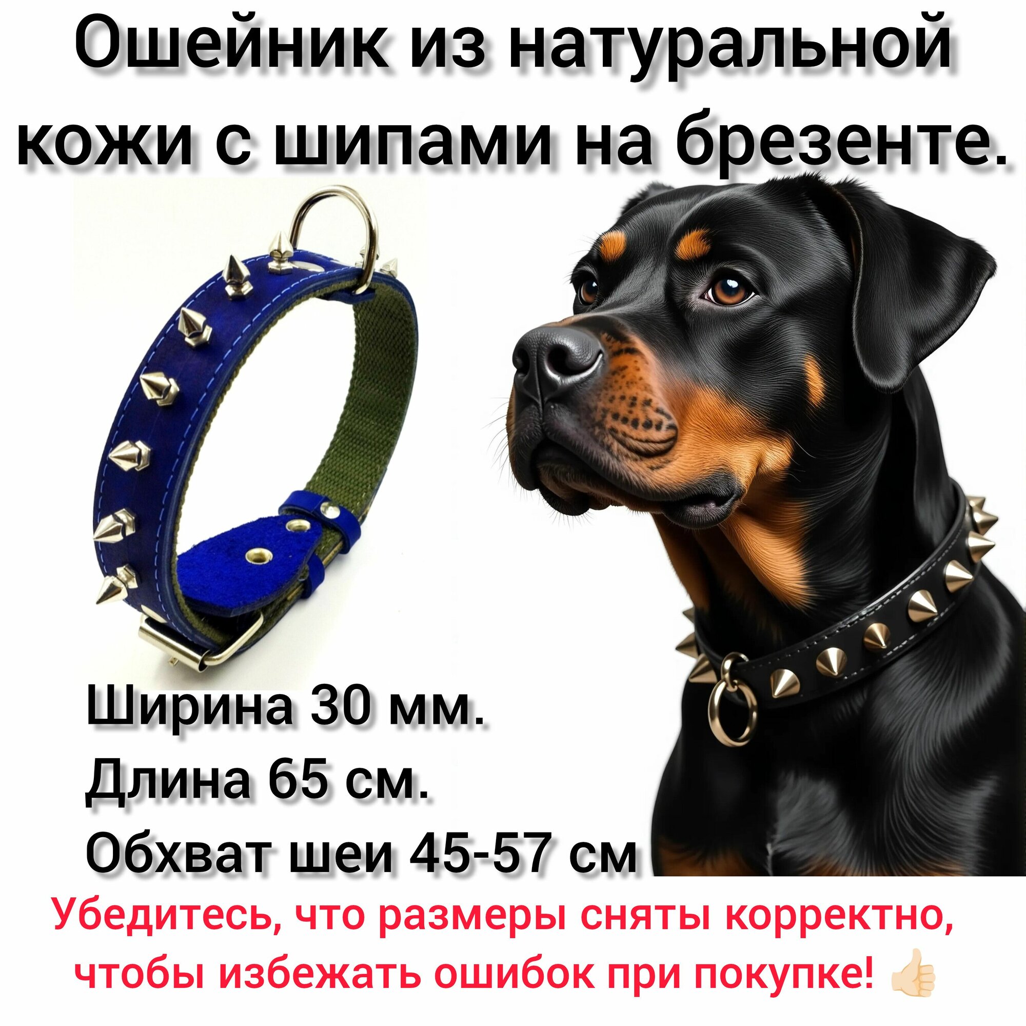 Ошейник из натуральной кожи и брезента с шипами для собак средних и крупных пород. Ширина 30мм Длина 65 см Объём шеи 45-57см. Кожаный ошейник с шипами.