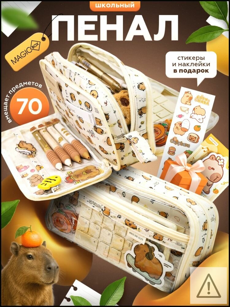 Пенал школьный Капибара MAGIC BOX