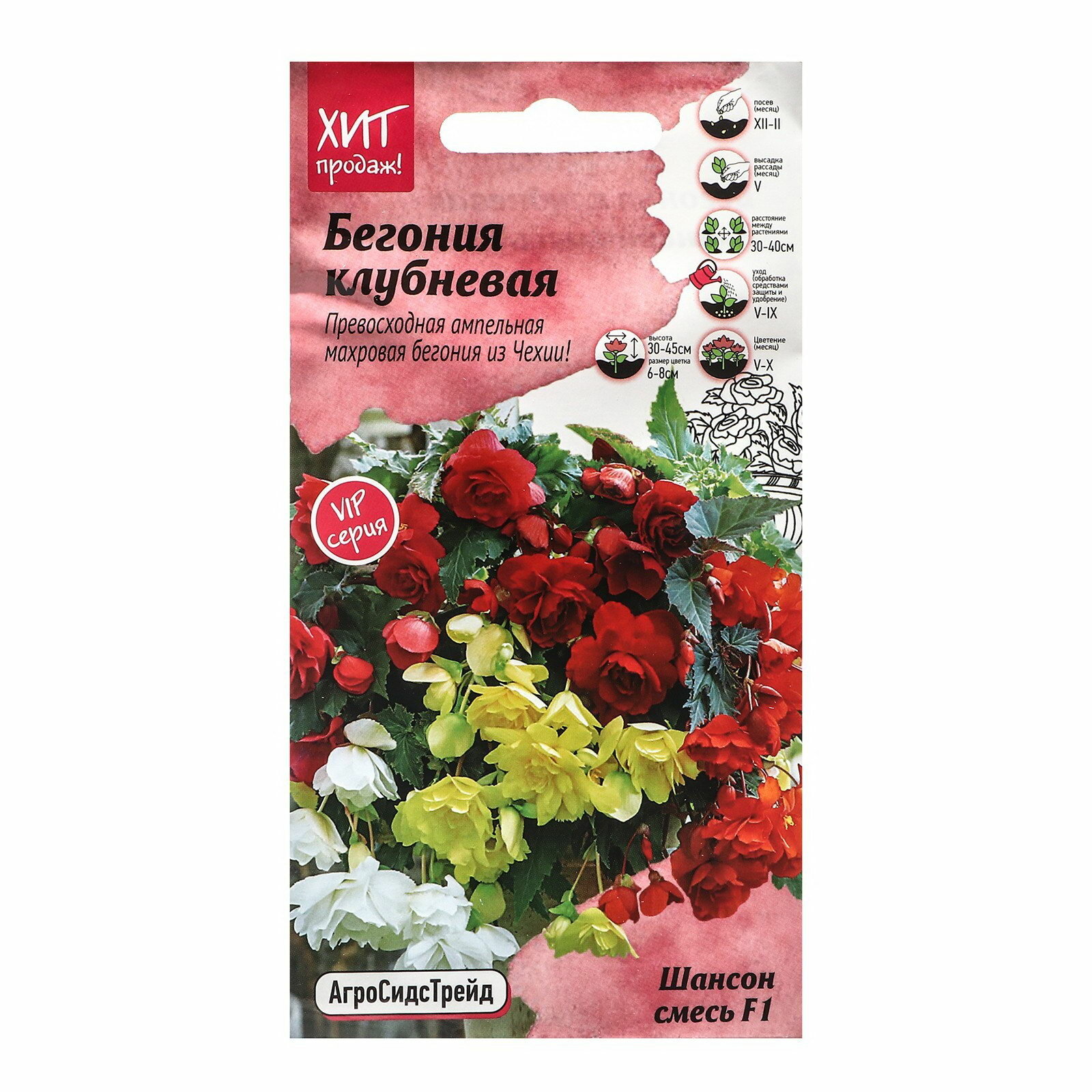 Семена Цветов Бегония "Шансон смесь", 5 шт, назначение: для балкона, веранды