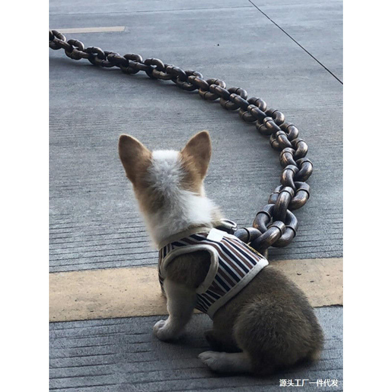 Товары для домашних животных 1.5m Древняя серебряная тонкая железная цепочка (только цепочка без воротника с крючком)