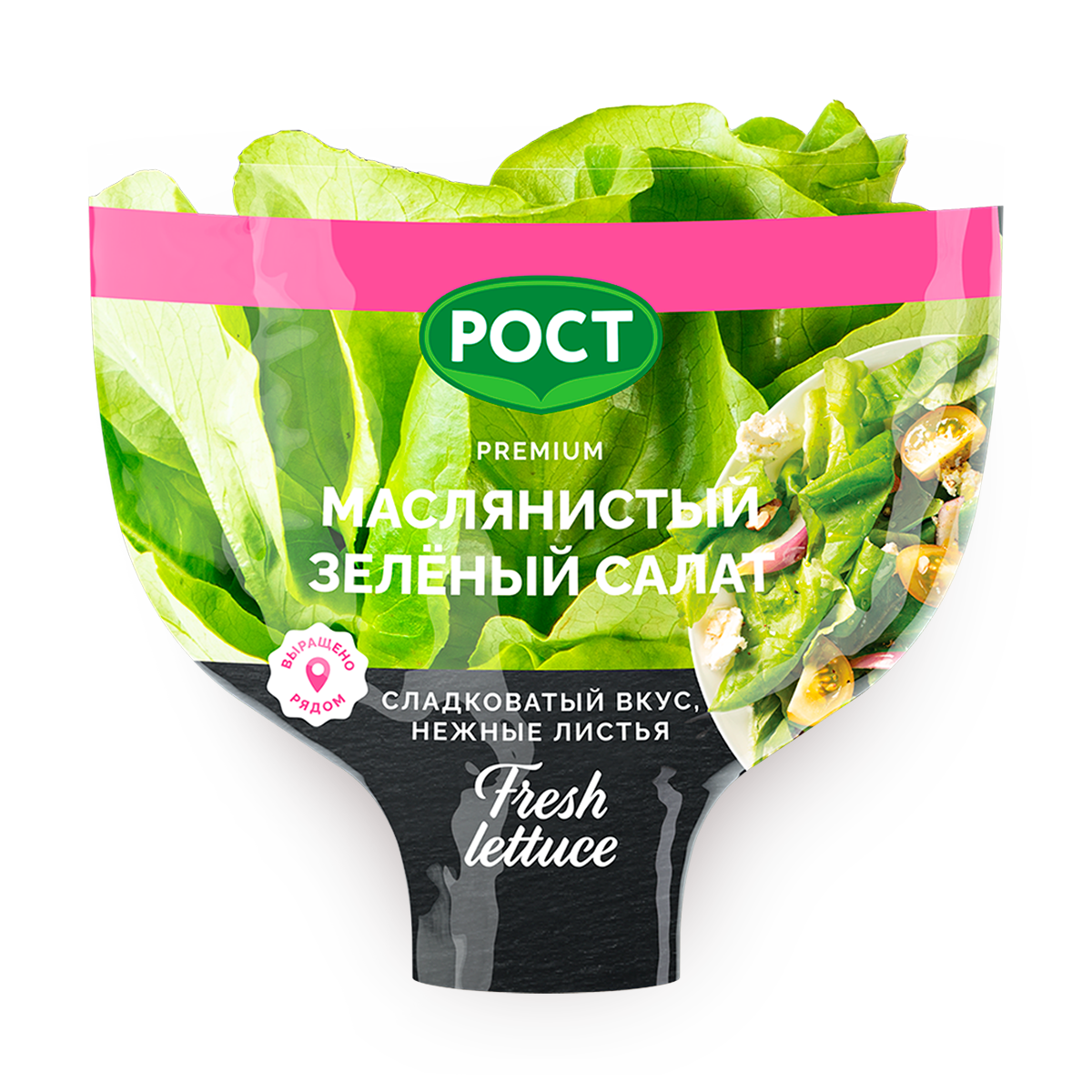 Салат РОСТ, маслянистый, зеленый, в пластиковом горшочке, 100г