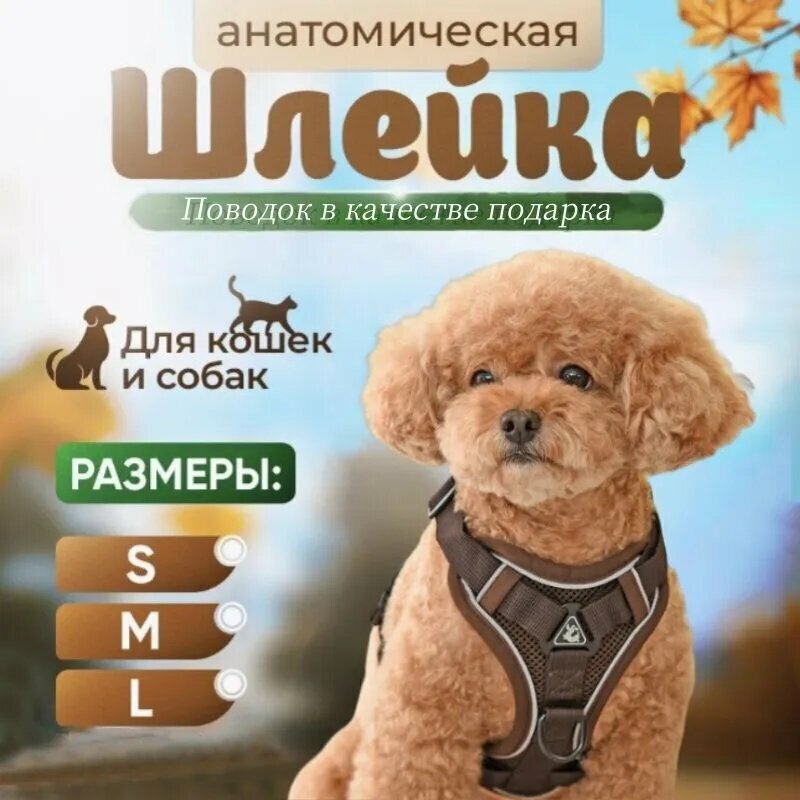 Шлейка для собак мелких пород/шлейка для кошек,1,5м, код L