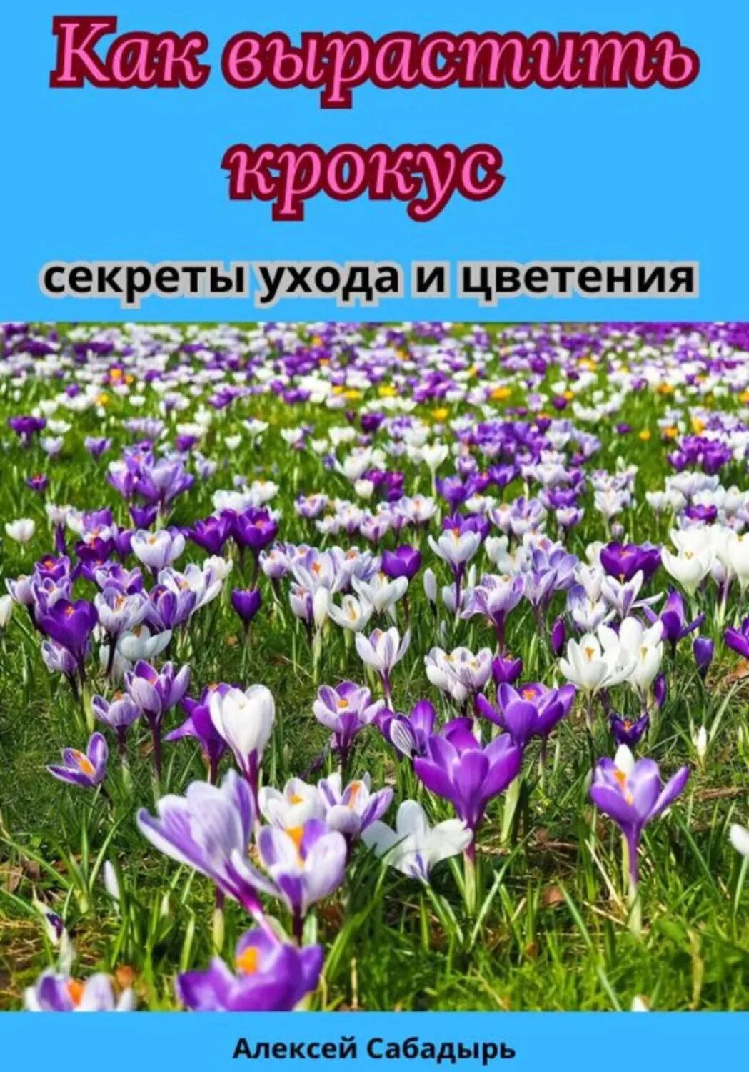 Как вырастить крокус секреты ухода и цветения [Цифровая книга]