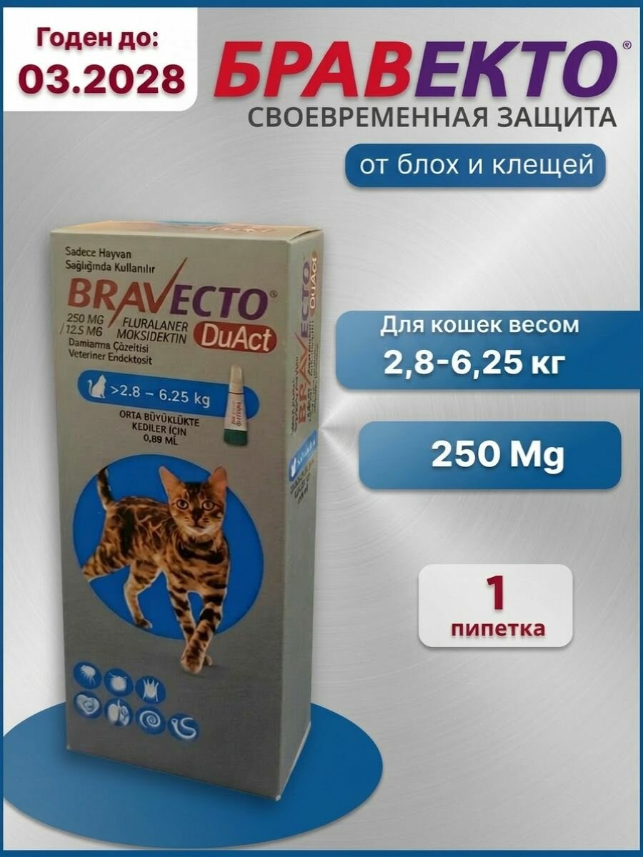 Бравекто Плюс 250 мг/12,5 мг раствор для наружного применения для кошек 2,8-6,5 кг, 1 пипетка