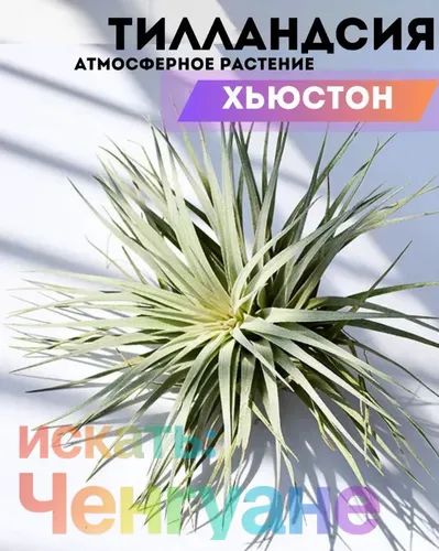 Искусственные цветы 2 шт белый