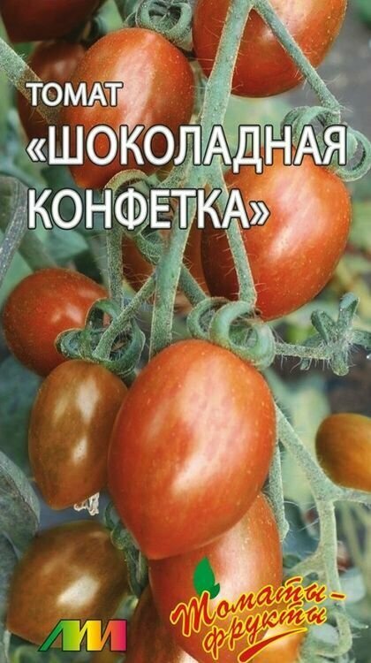 Томат Шоколадная конфетка