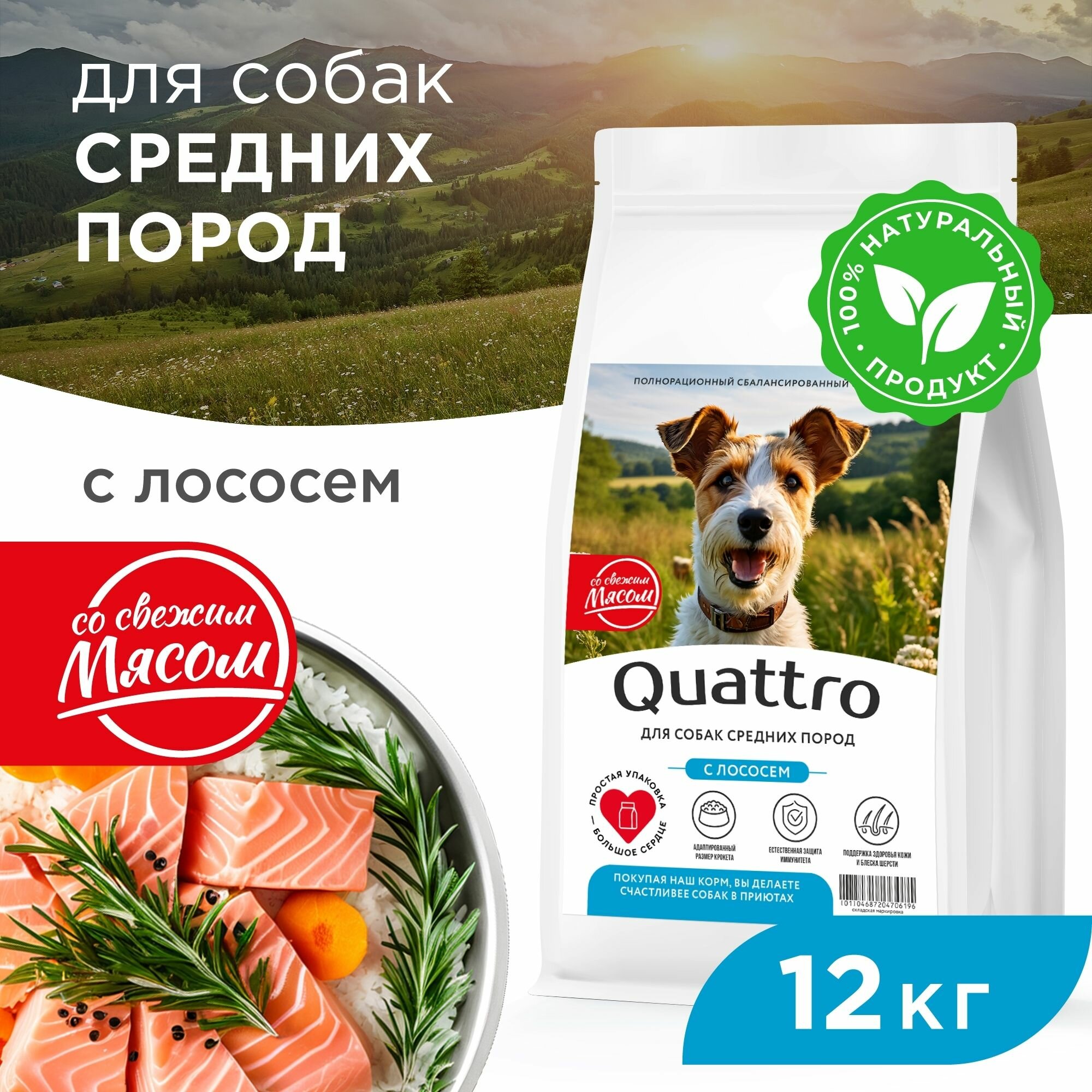 Корм сухой для взрослых собак средних пород, премиум полнорационный сбалансированный, с лососем, 12 кг, QUATTRO