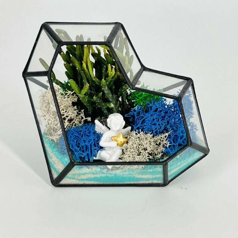 Флорариум сердце бриллиант с кактусом