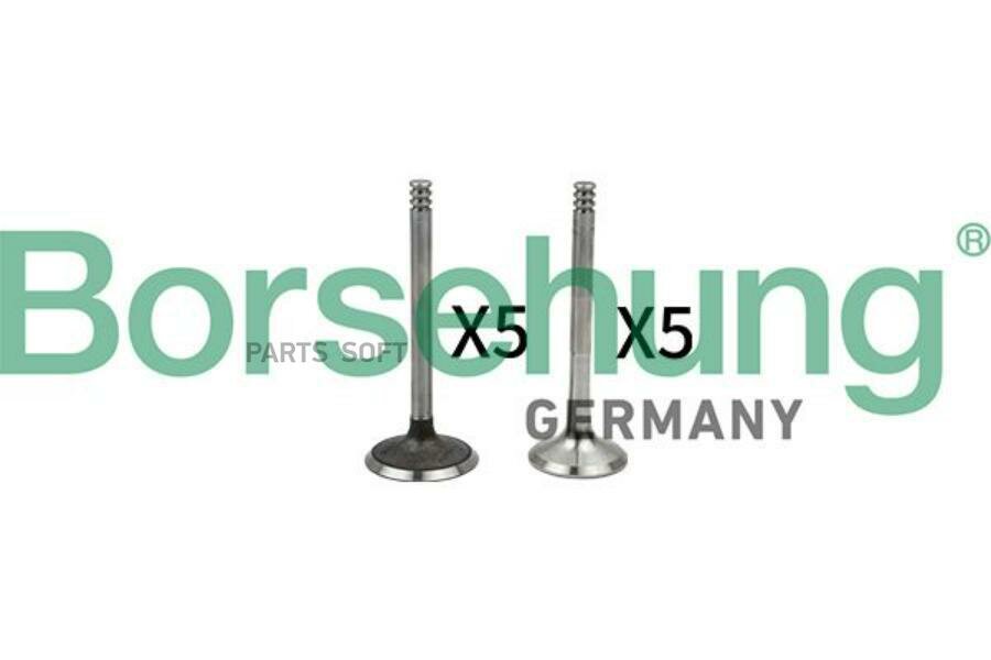 BORSEHUNG Комплект клапанов 5+5