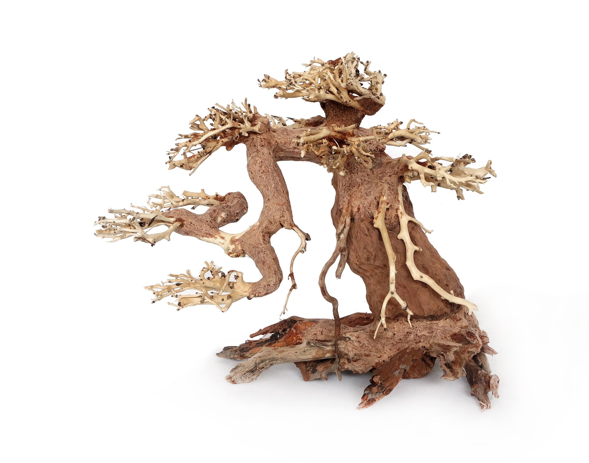 Коряга натуральная PRIME Бонсай 1, М
