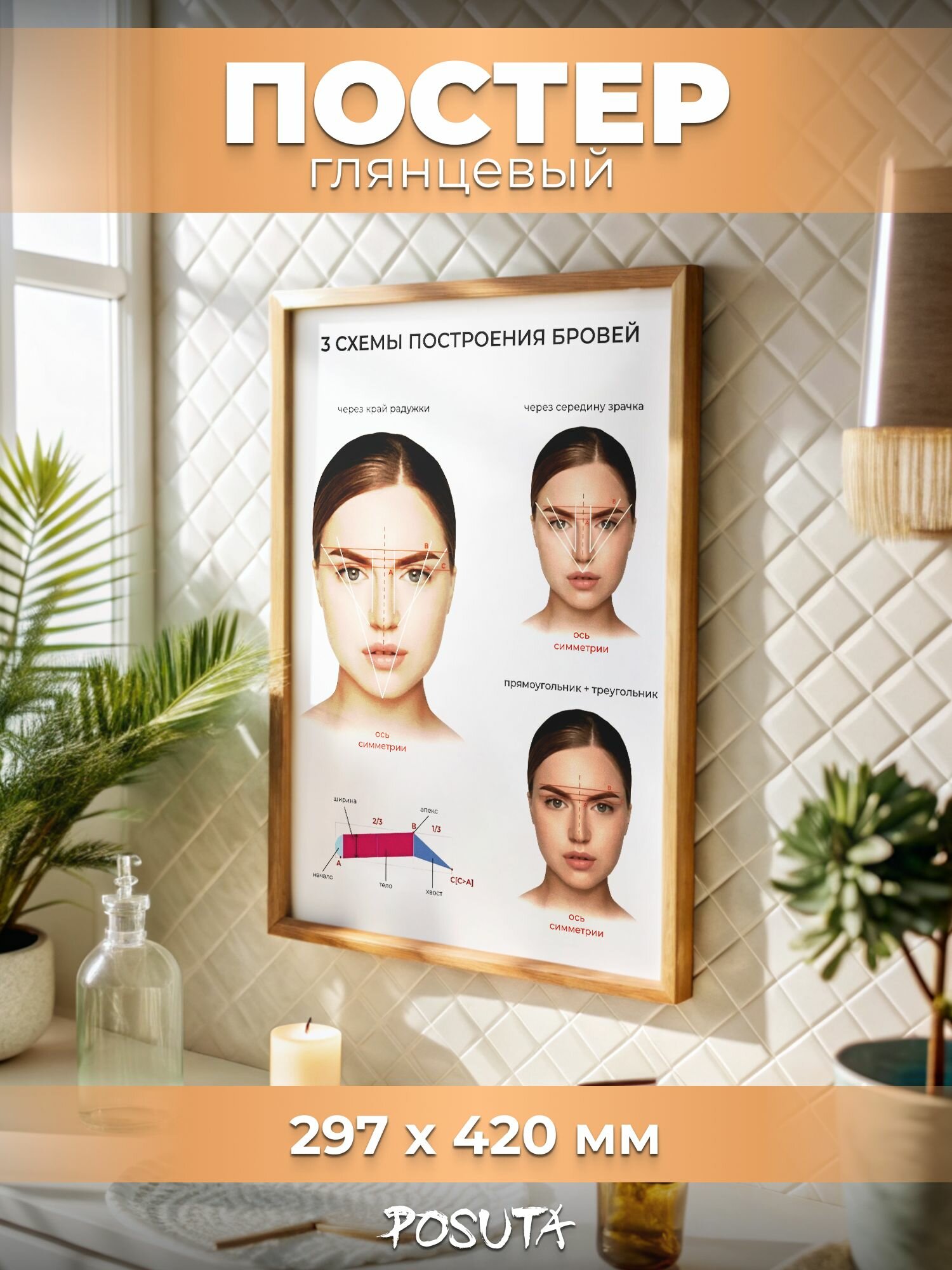 Постеры обучающие Архитектура бровей