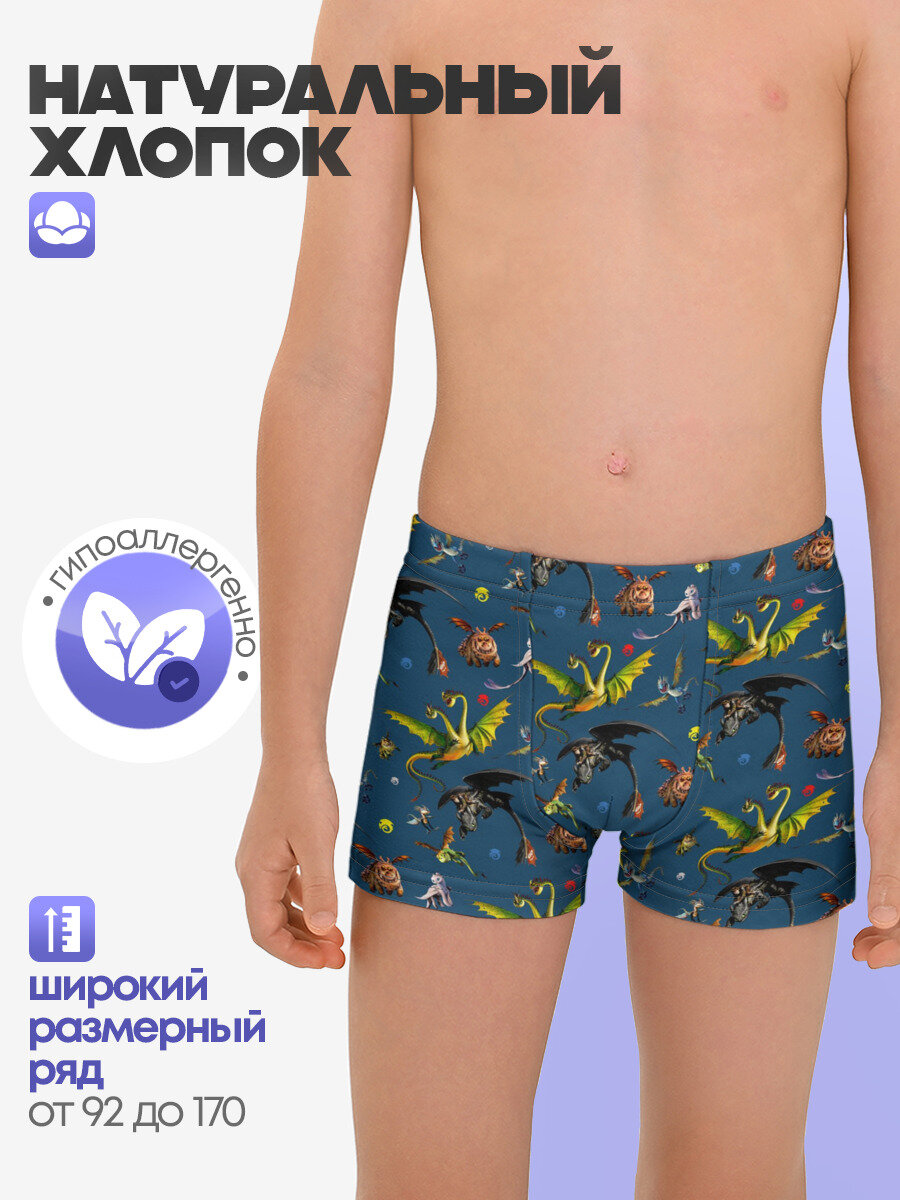 Трусы Как приручить дракона