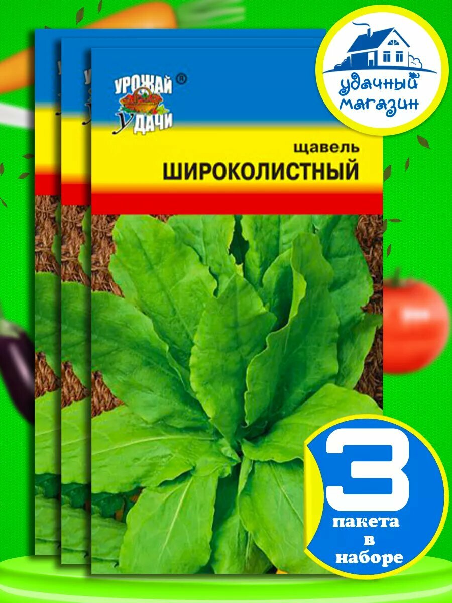 Семена щавеля многолетнего крупнолистного для посадки