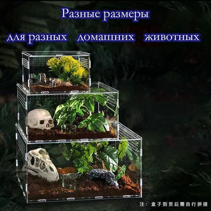 Акриловый террариум для рептилий и насекомых