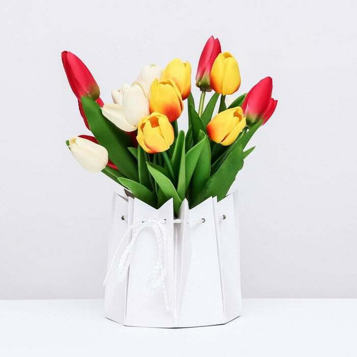 Аквабокс UPAK LAND 14х14 см, Белый, картон, пластик