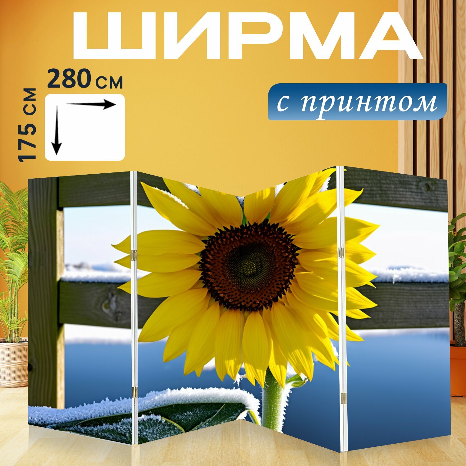 Ширма "Солнечник в зимнем окружении, цветок с золотистыми лепестками и темной серединкой, растущий рядом с." перегородка для зонирования комнаты с принтом 280x175 см. на холсте