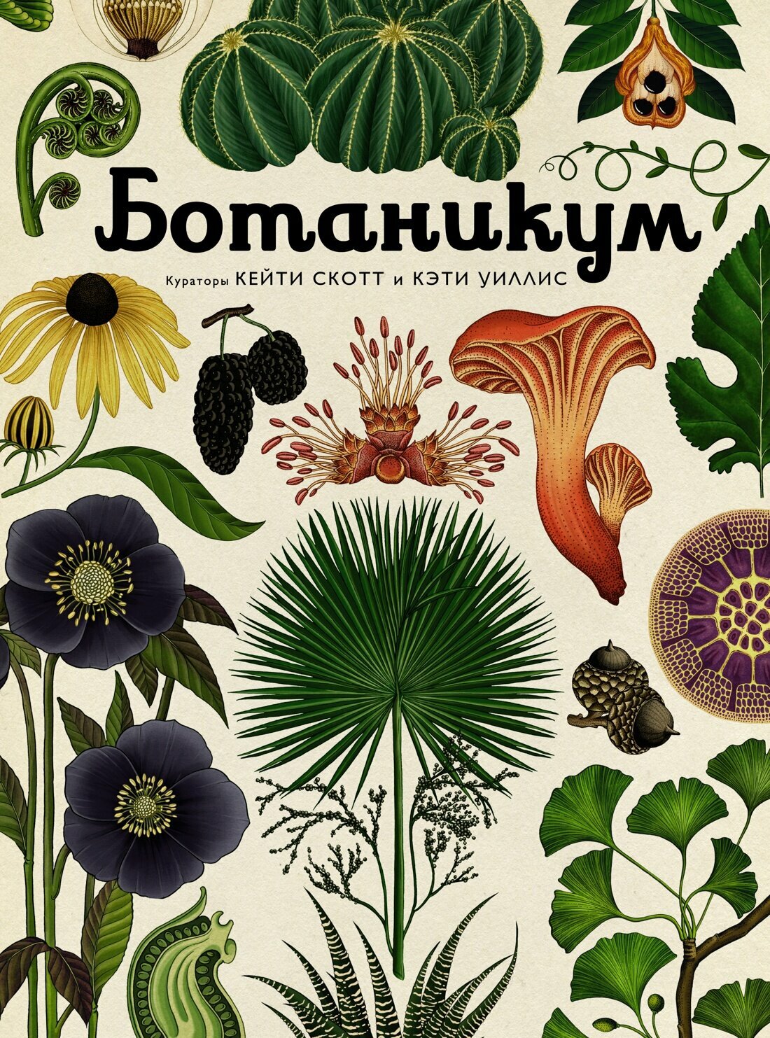 Ботаникум / Скотт К. Уиллис К.
