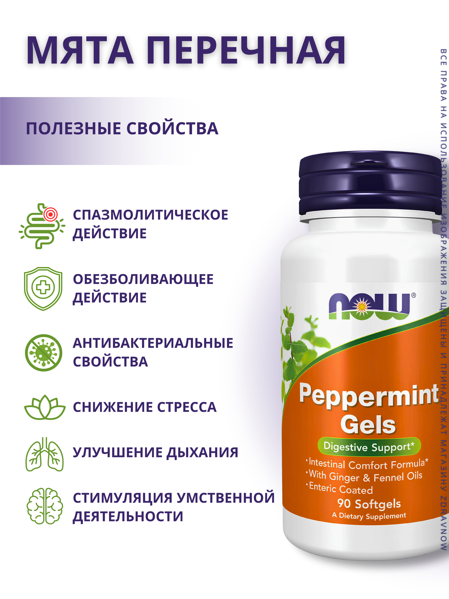 NOW Foods Peppermint Gels, Мята Перечная Масло с маслом имбиря и фенхелем - 90 капсул — фото 1