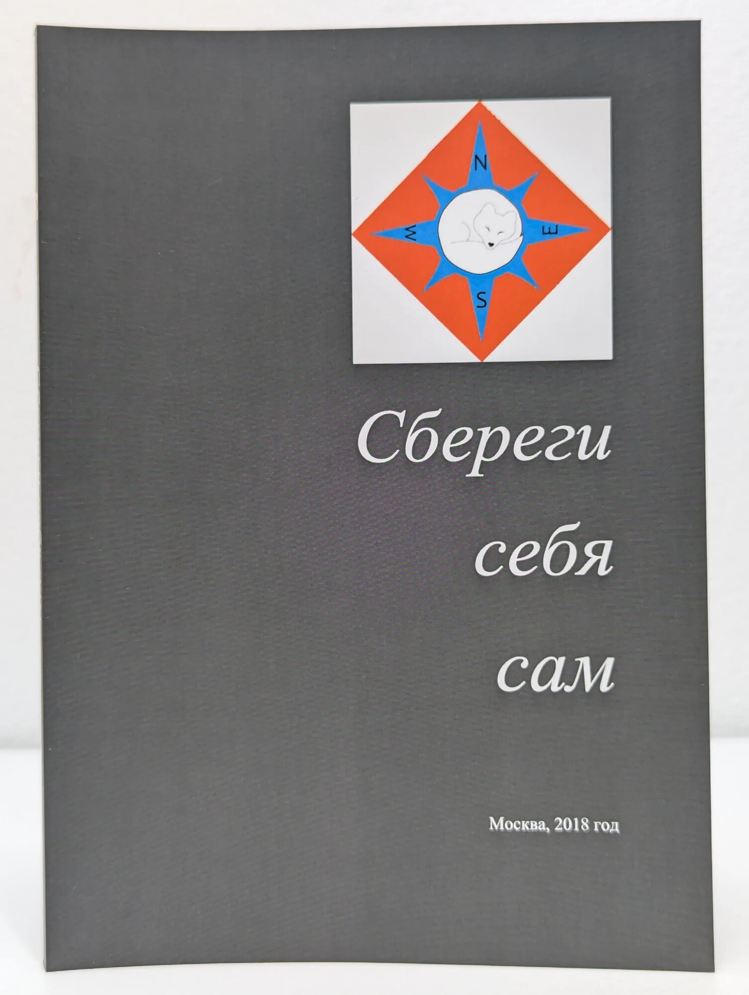 Сбереги себя сам Холмогоров А. В, Силенко В. В, Илюхин П. Н, Елисеенко А. С. 2018