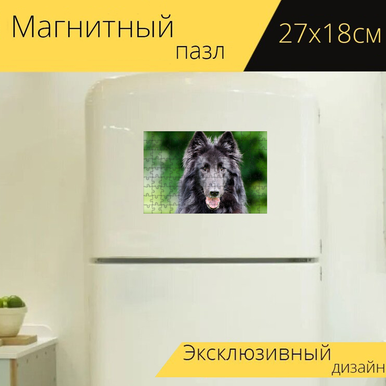 Магнитный пазл "Groendendael, бельгийская овчарка, длинные волосы" на холодильник 27 x 18 см.